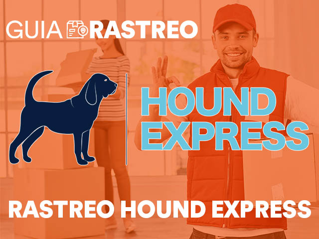 【Hound Express rastreo】 Rastrea AQUÍ tu paquete en tiempo real